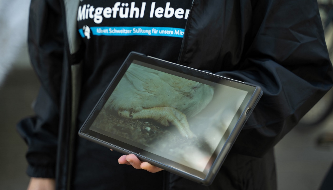 Fleischskandal: Aktionen vor Lidl-Filialen • Albert Schweitzer Stiftung