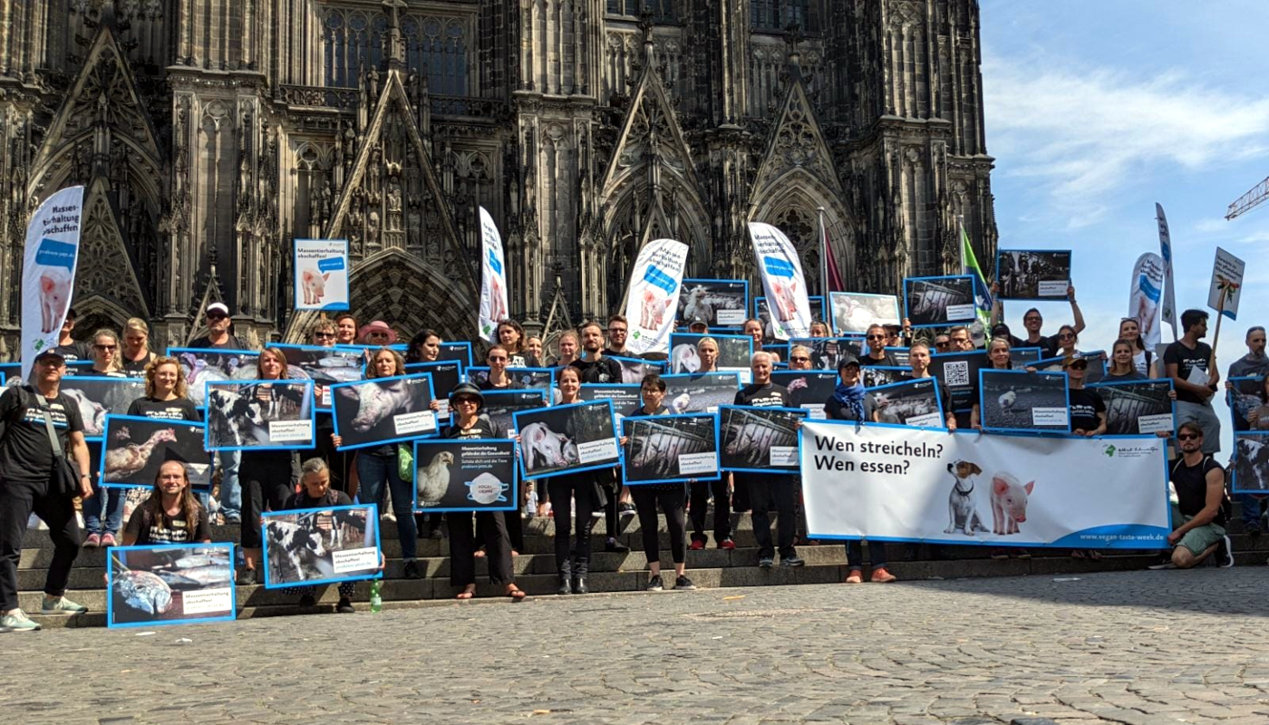 Silent Line in Köln war ein voller Erfolg • Albert Schweitzer Stiftung